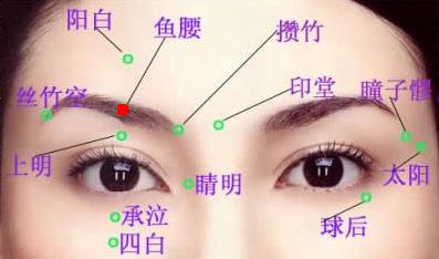 Yuyao - TCM Wiki